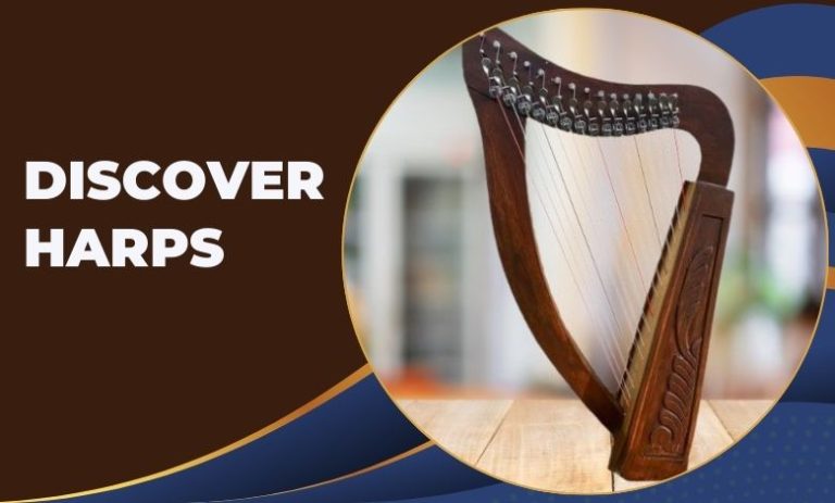 Let’s Discover Harps With Their Shapes and Traits! - Blog TUK